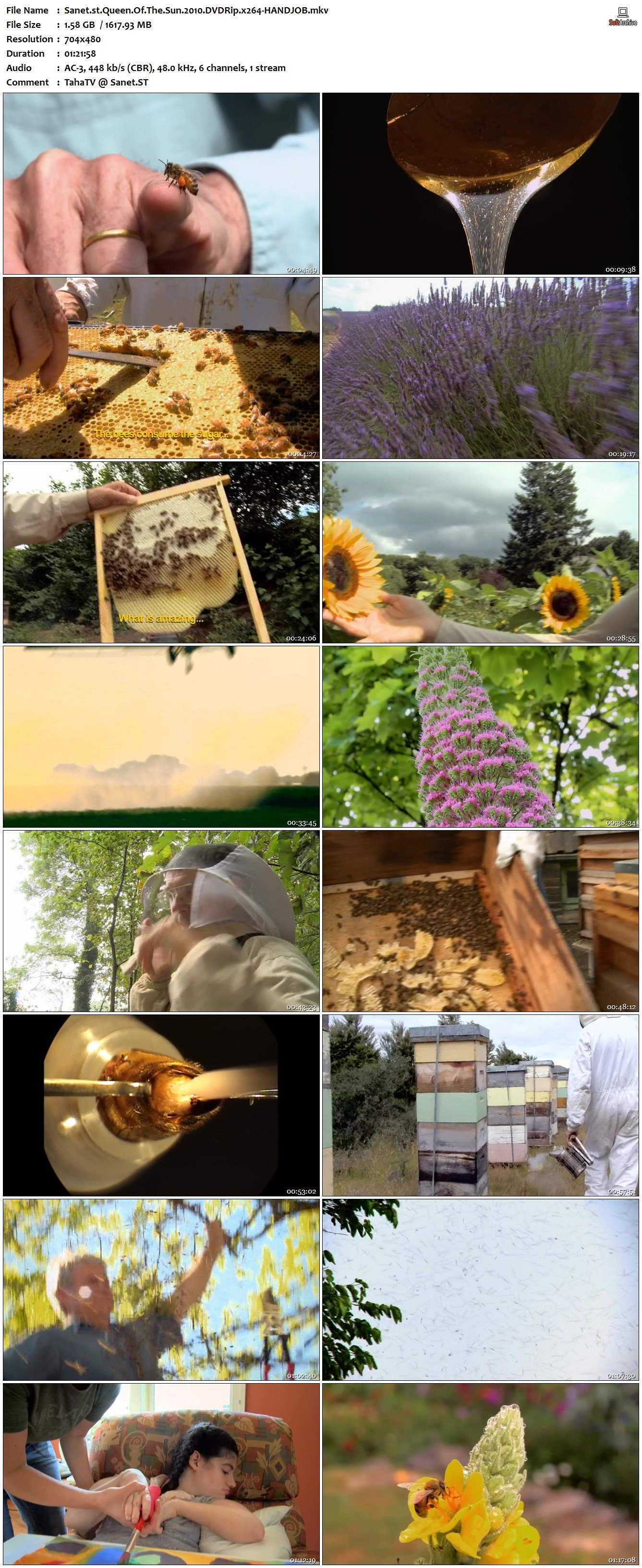 Queen Of The Sun What Are the Bees Telling Us 2010 DVDRip x264-HANDJOB ...